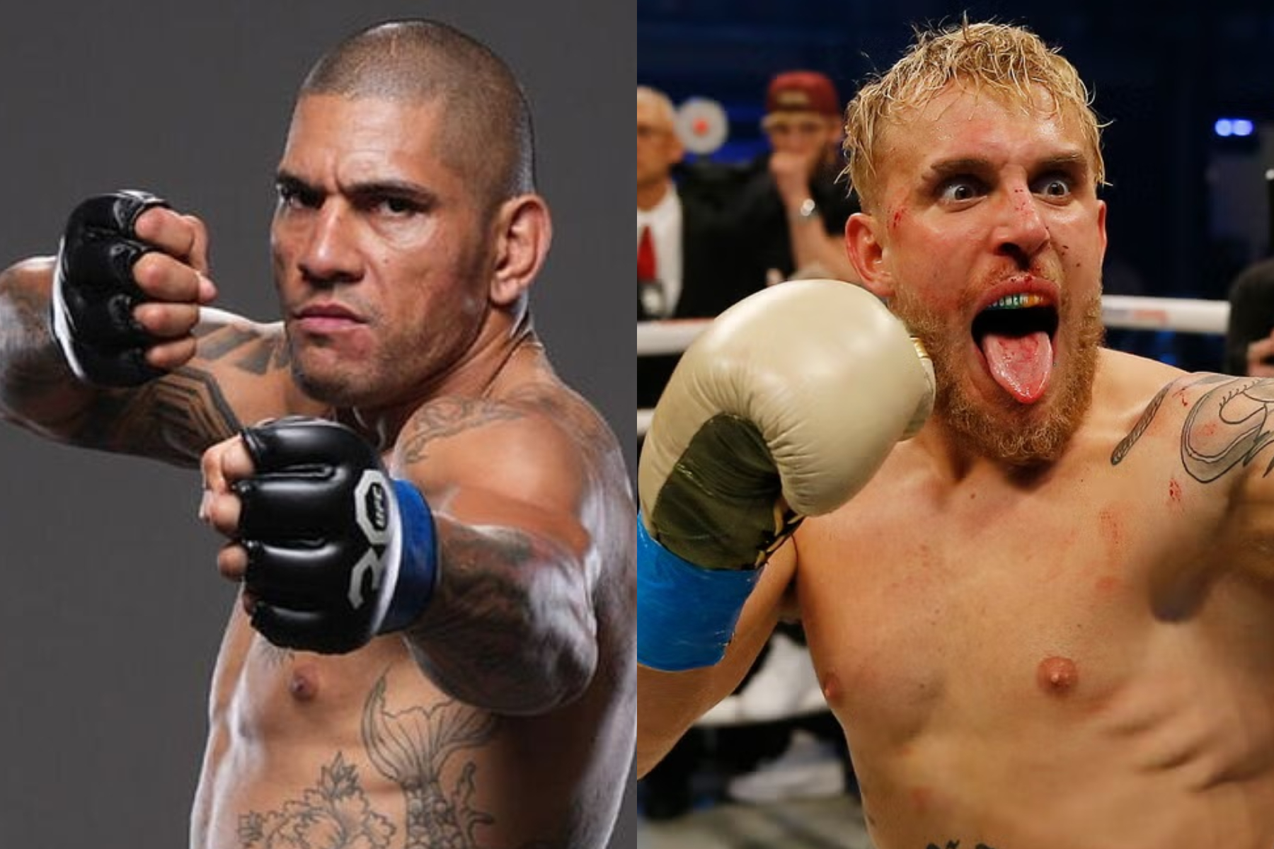 Jake Paul: “En MMA Alex Pereira me arrancaría la cabeza, pero en boxeo ...